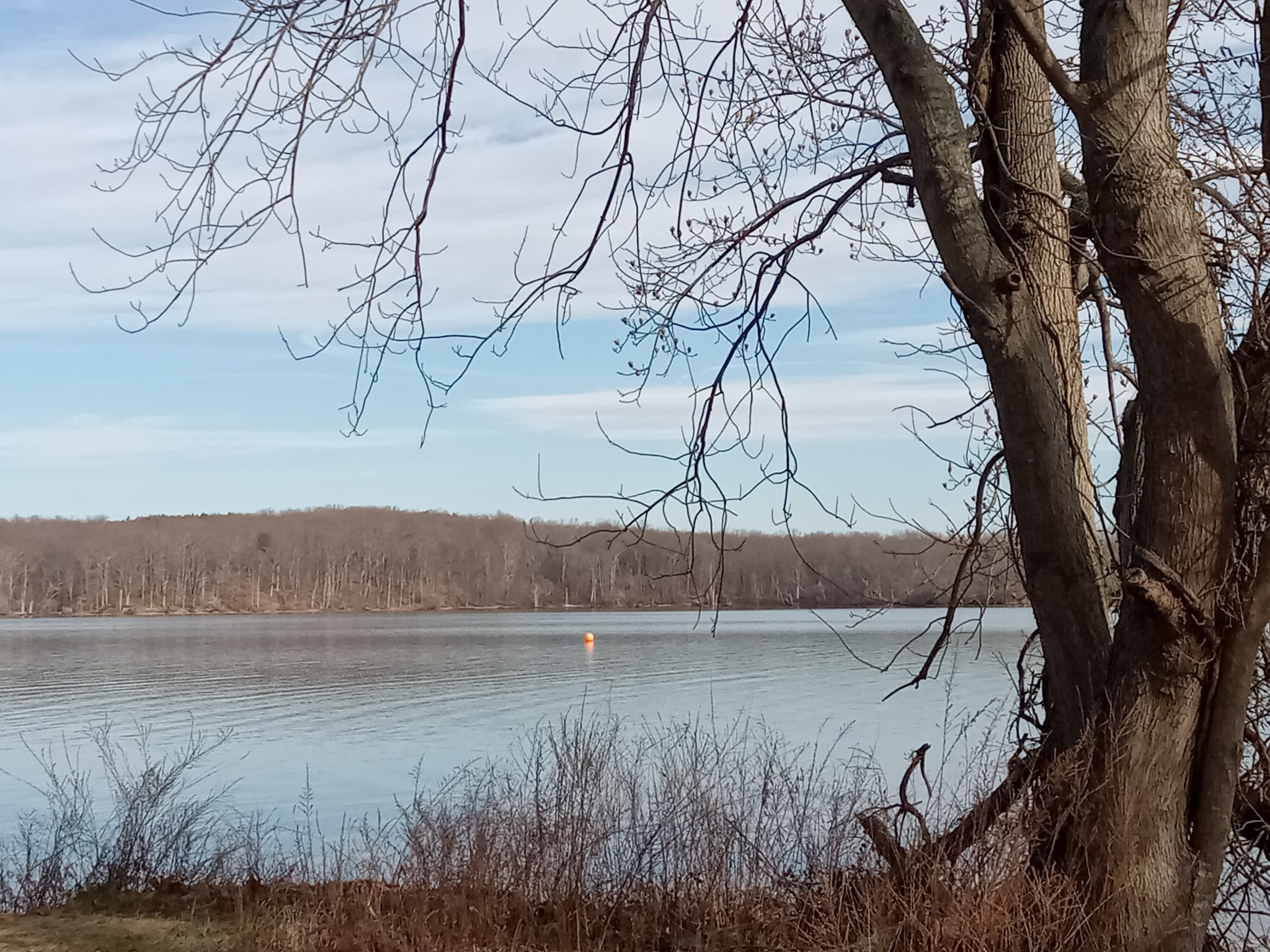 Thinking About Story at Pohick Bay – Linda Maye Adams